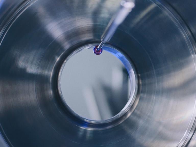 ZEISS Active Scanning Technology | Active Scanning probes