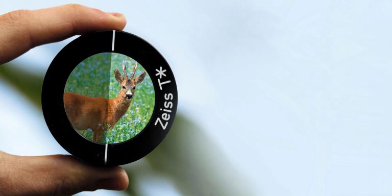 ZEISS 20x60 S | Binocular with image stabilisation