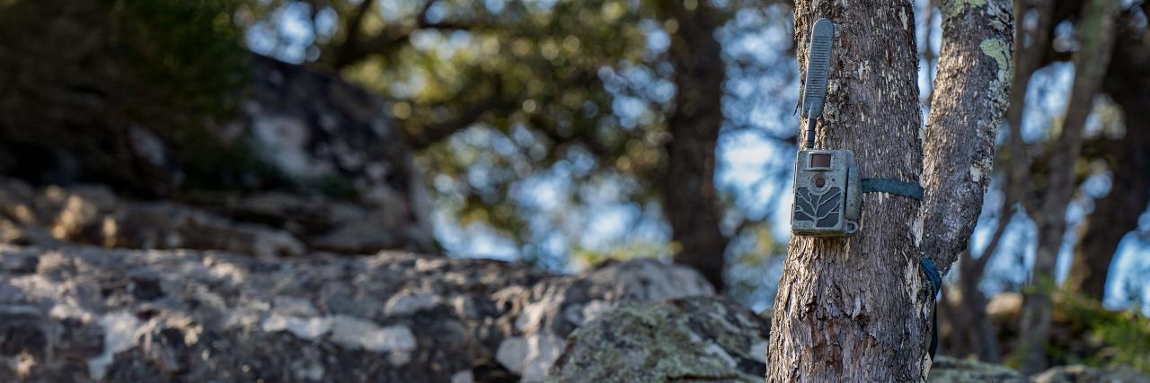 ZEISS Trail Cameras | Nature is just a click away.